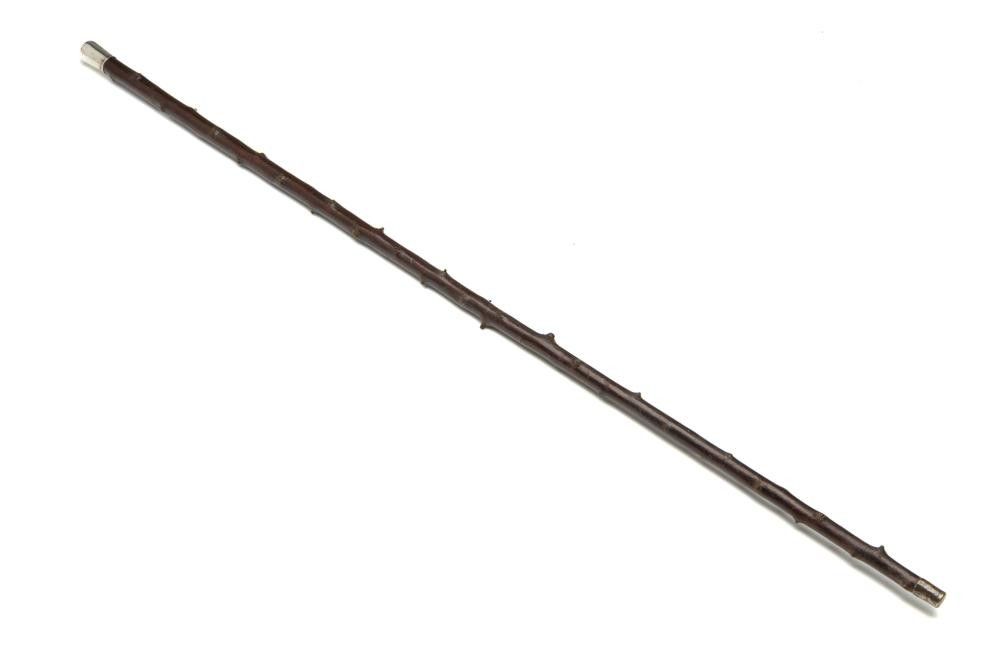 Silver Handled Blackthorn Timber Walking Stick, 96cm Length - Walking ...
