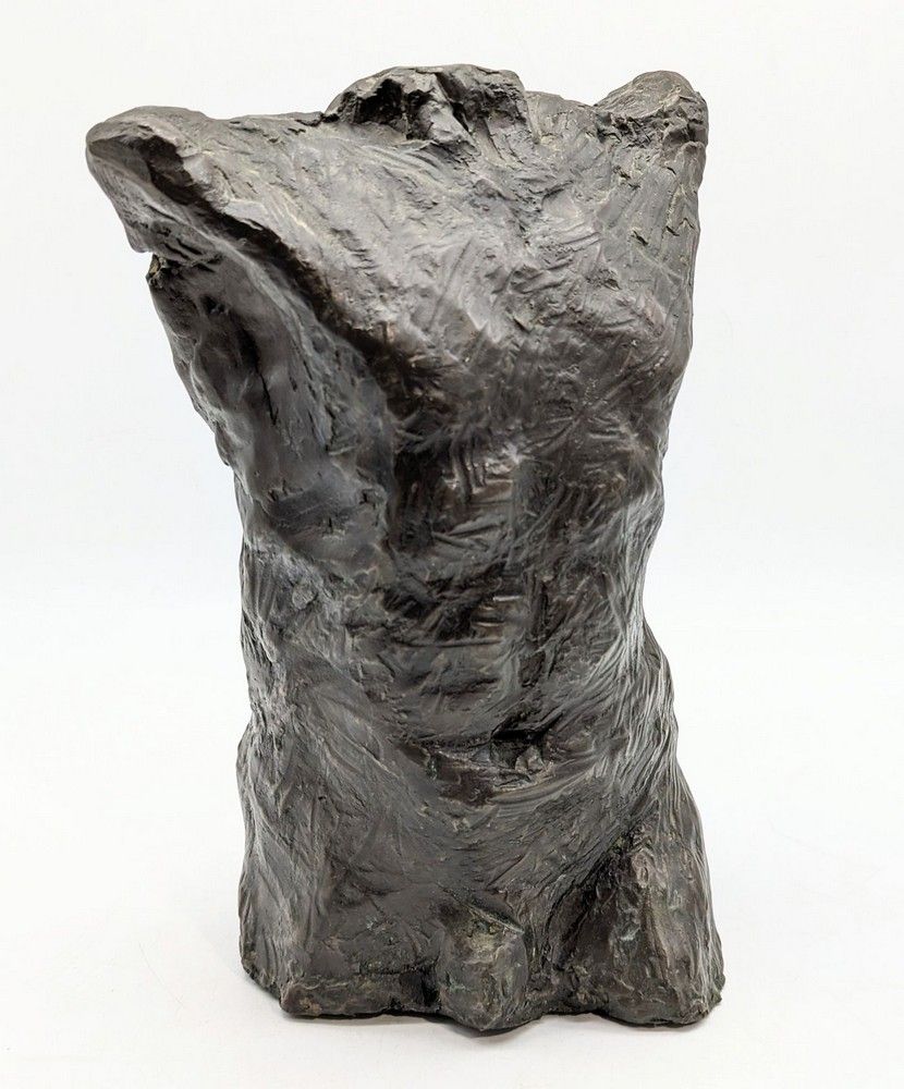 Bronze Male Torso Sculpture - Figures/Groups - Sculpture/Statuary