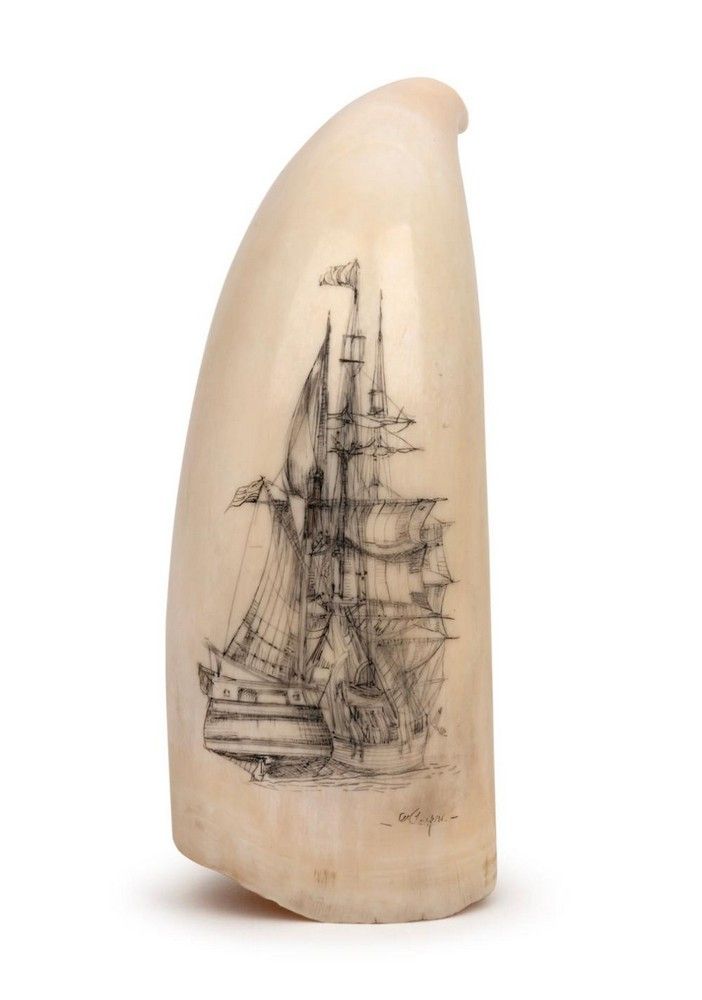 Scrimshaw Whale's Tooth: Tallship Scene by Gary Tonkin - Scrimshaw ...
