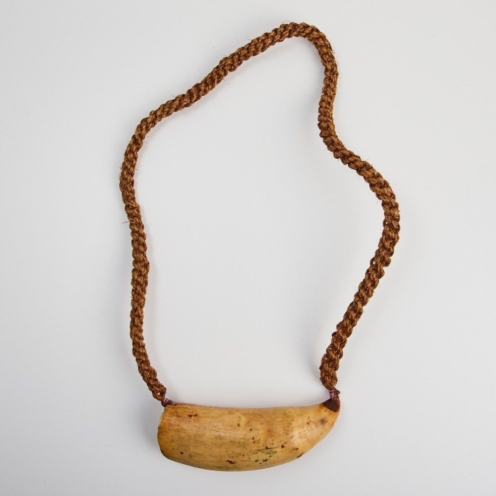 Fijian Tabua: Symbol of Respect and Diplomacy in Culture - Nautical ...